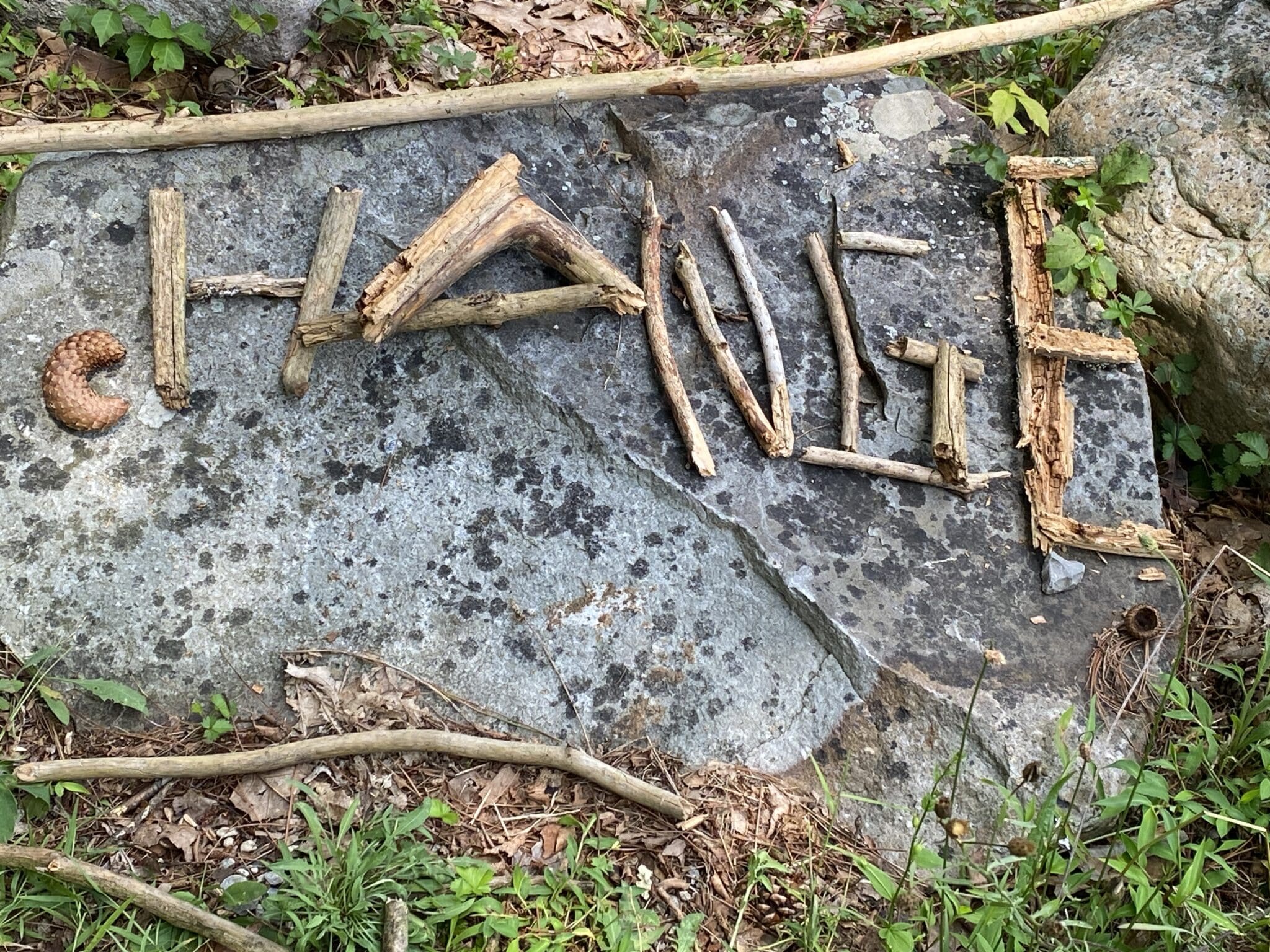 Welcome to the Climate Change Learning Collaborative! | Climate Change ...